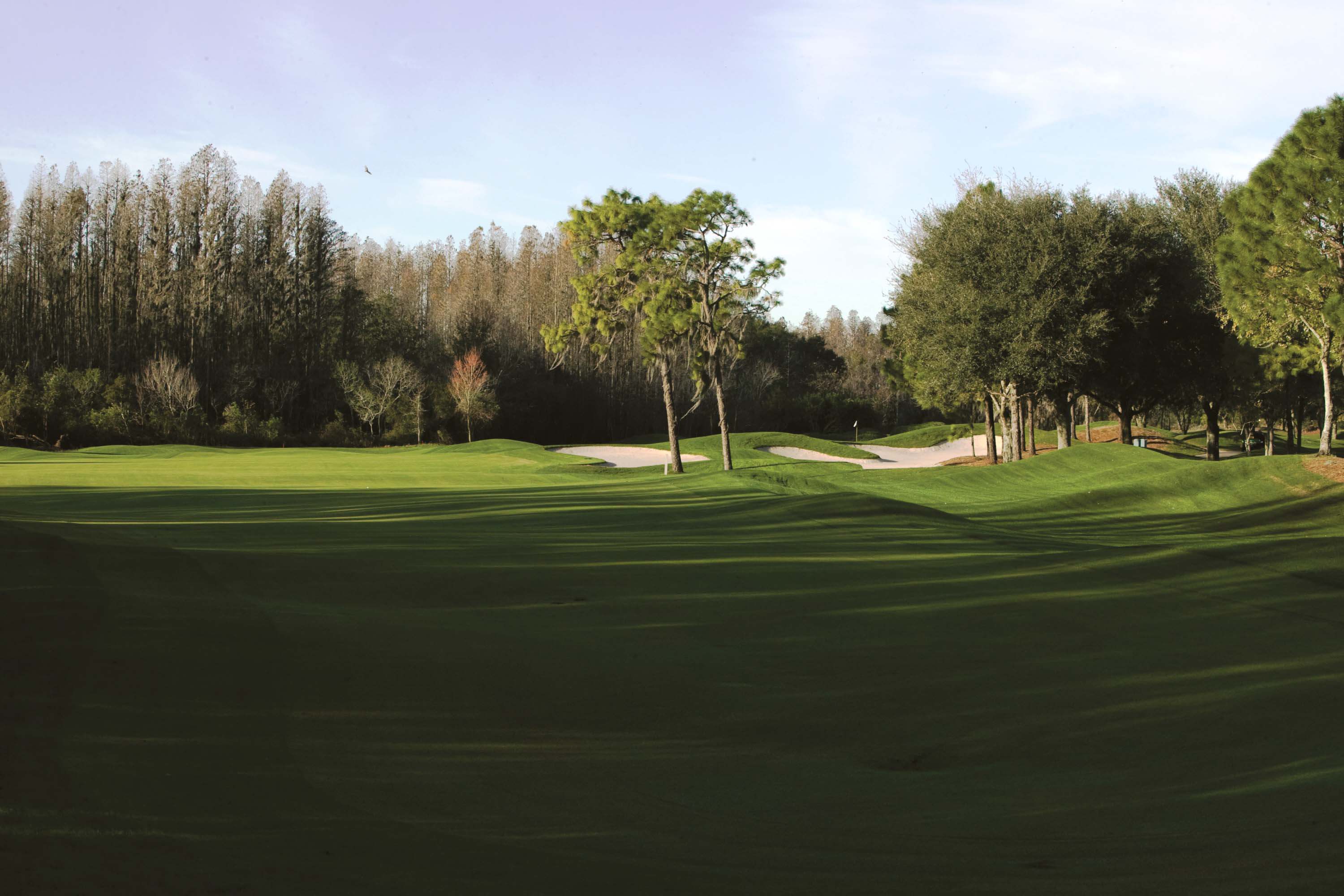 Site Map | TPC Tampa Bay